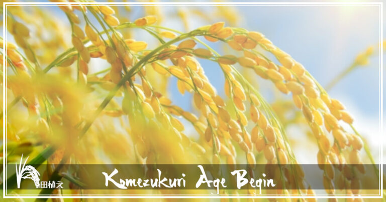 日本で米作りが始まった時代を検証!稲作の歴史をまるごと解説!!